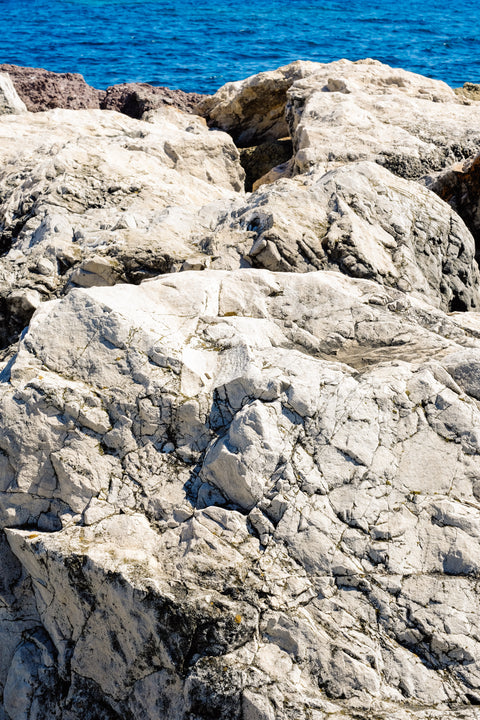 Buttz – Unterwäsche made for everybooty.